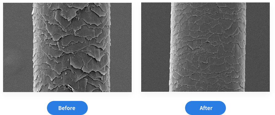 Korea Institute Of Dermatological Sciences